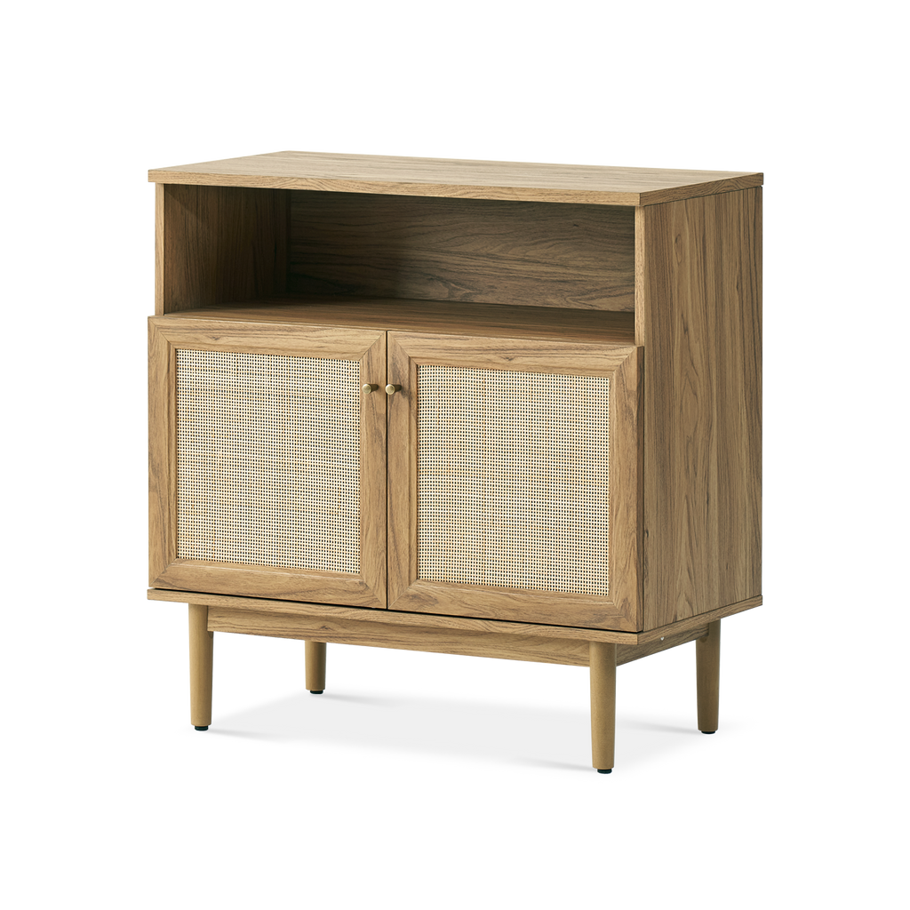 Haylee 2-Door Cabinet – Mopio